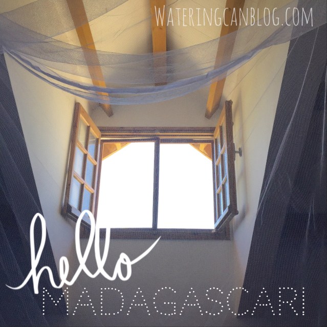 Madagascar Morning – wateringcanblog