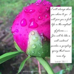 Scripture Challenge: Isaiah– “Who Prayed for Rain?” – wateringcanblog