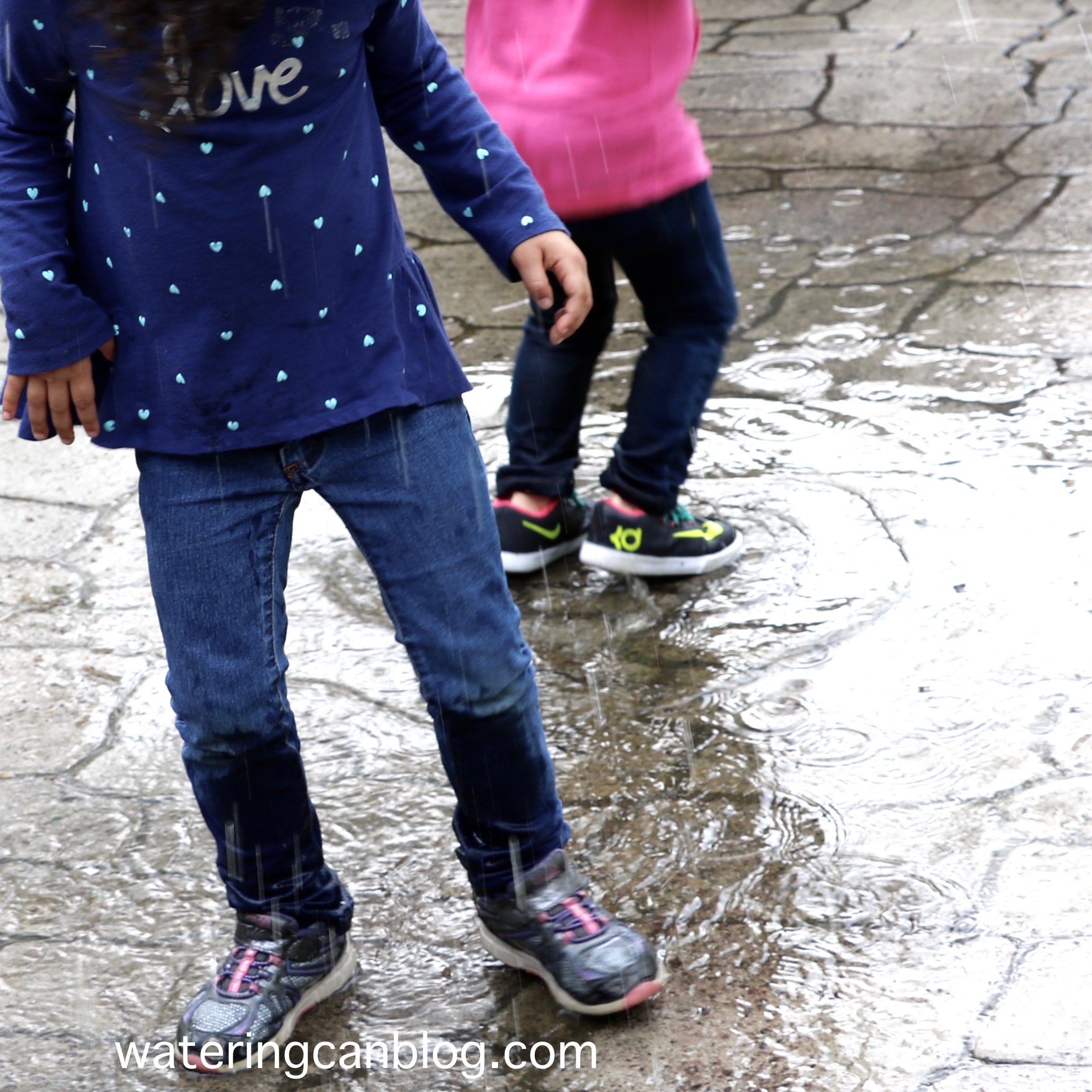 Scripture Challenge: Isaiah– “Who Prayed for Rain?” – wateringcanblog