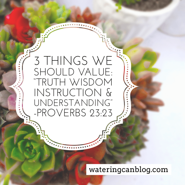 Wisdom and Discernment – wateringcanblog