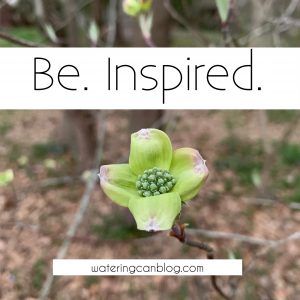 5 Ways To Inspire Creativity – wateringcanblog