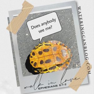 Turn Over the Turtle: Saying Yes To God – wateringcanblog