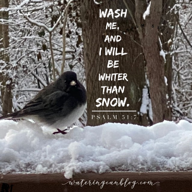 Whiter Than Snow – wateringcanblog