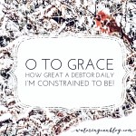 When Quotes Come Into Question – wateringcanblog