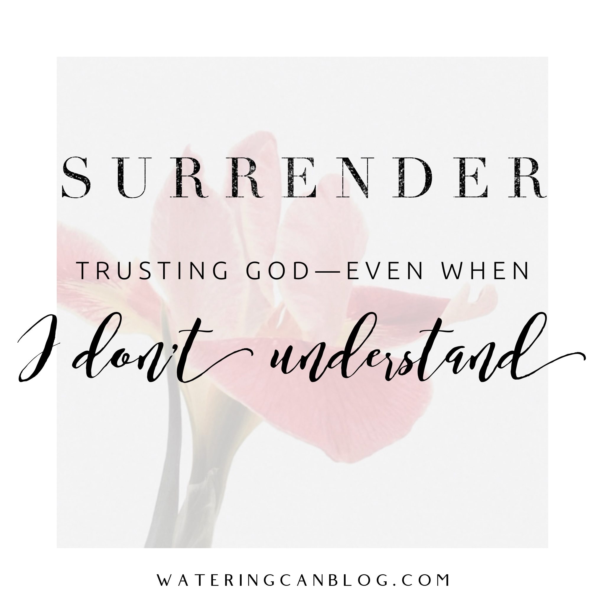 The Word Surrender